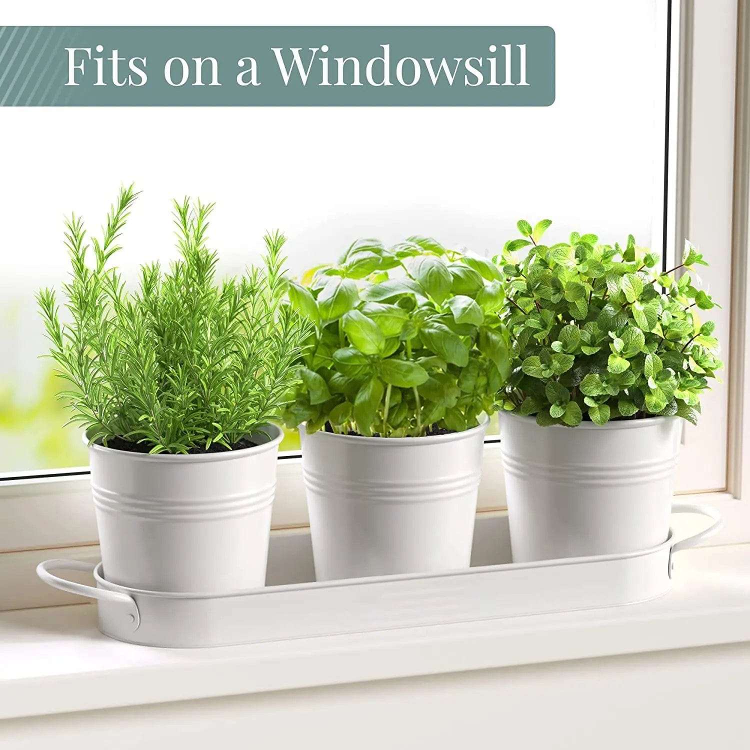 Herb Garden Planter Pots Box With Tray Set For Indoor - Cart In Mart